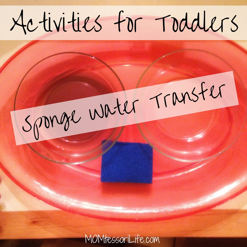 Activities for Toddlers — Sponge Water Transfer – MOMtessori Life