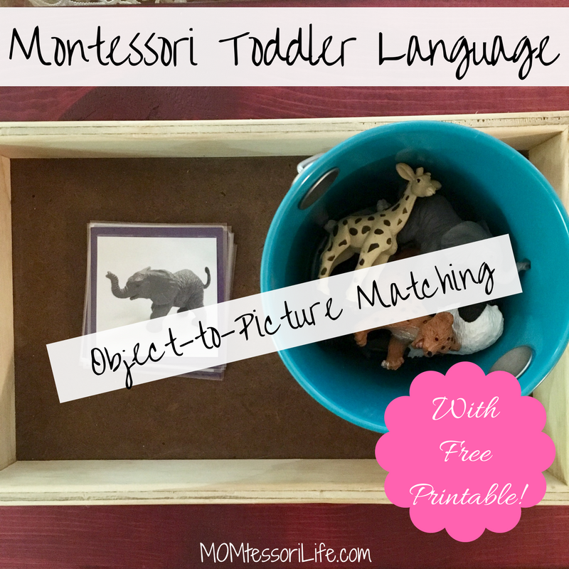 Montessori Toddler Language — Object-to-Picture Matching with Free ...