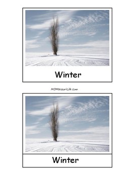 Seasons 3-Part Cards – MOMtessori Life