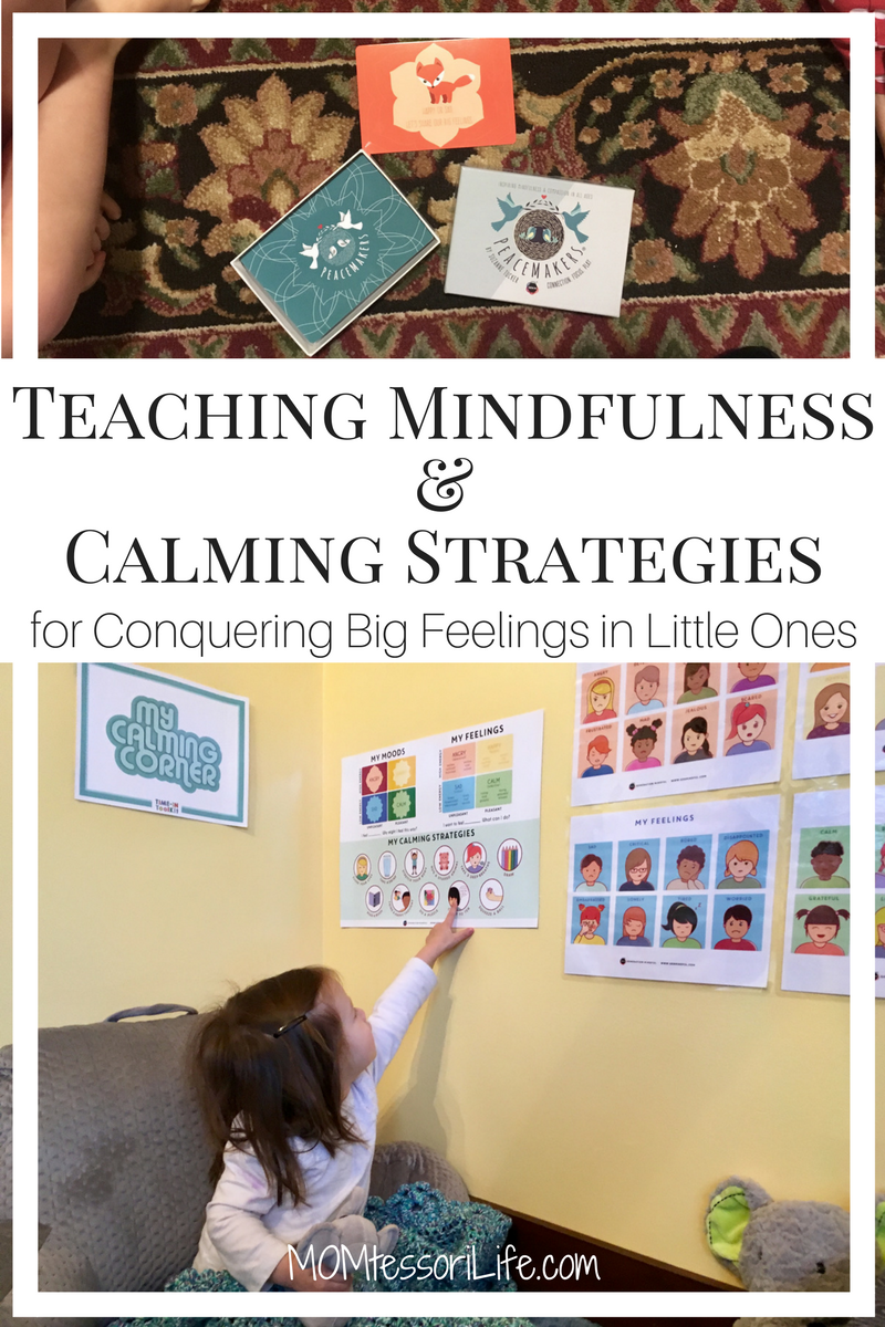Teaching Mindfulness & Calming Strategies for Conquering Big Feelings ...