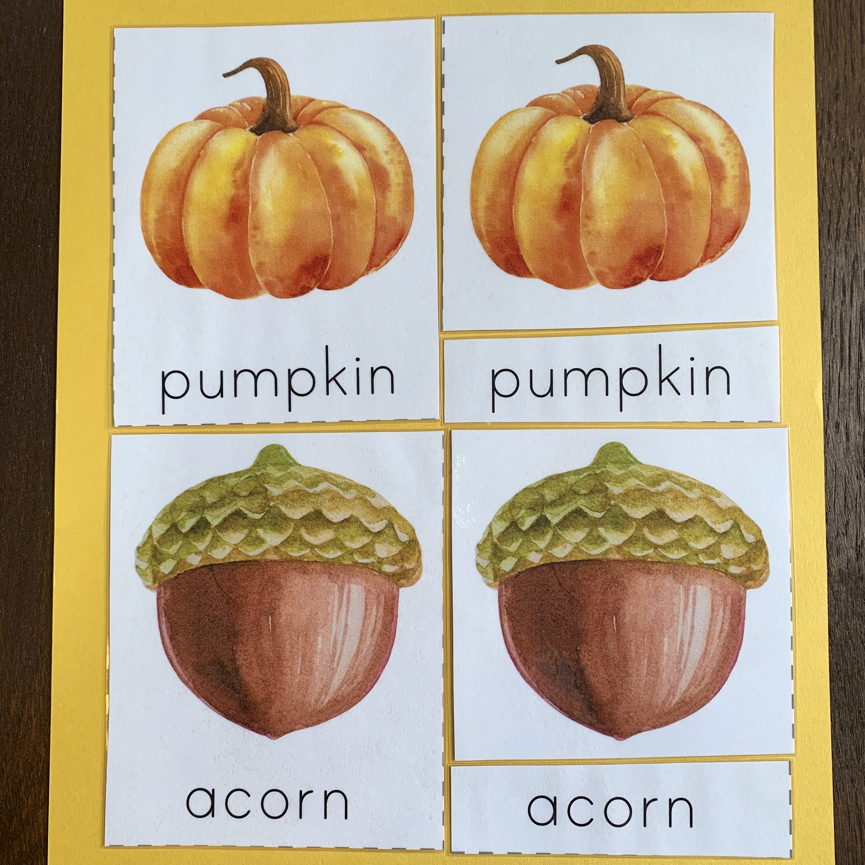 Life Thanksgiving Fall Unit EB – MOMtessori Life