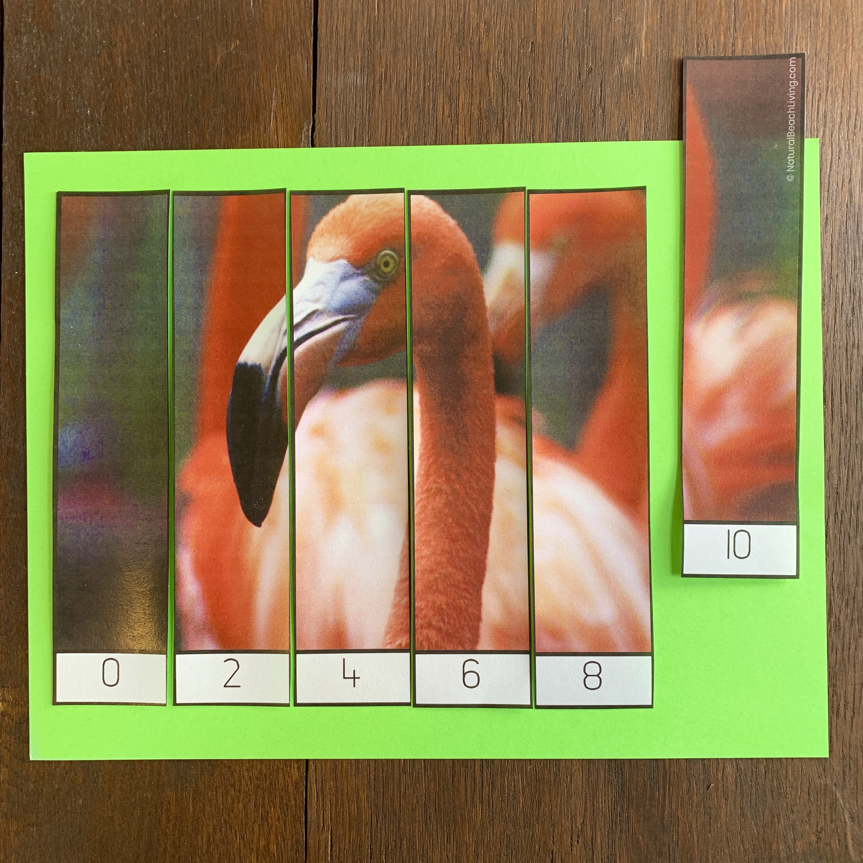 skip counting puzzle by Natural Beach Living – MOMtessori Life