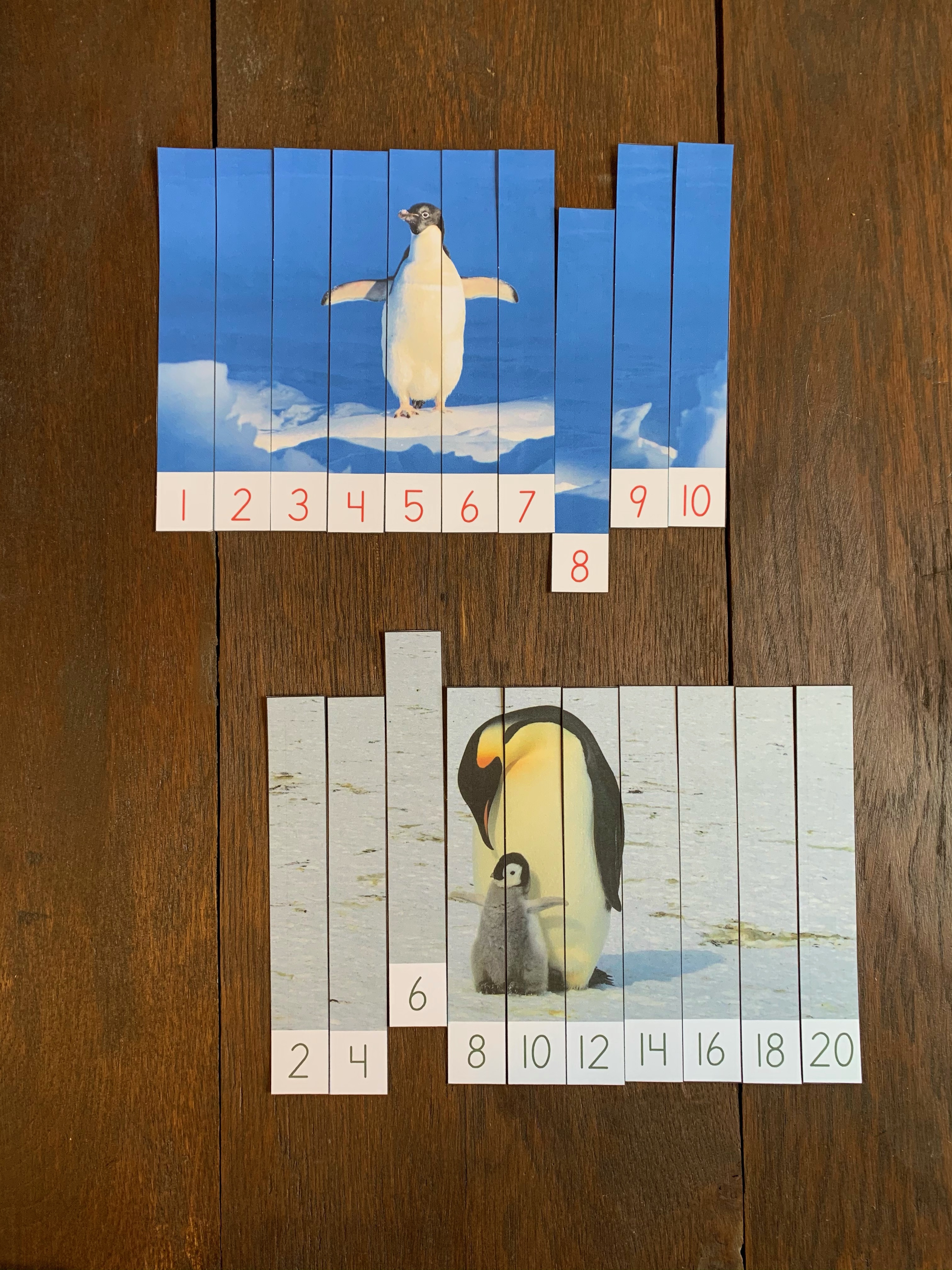 Montessori-Inspired Penguin Skip Counting Puzzles – MOMtessori Life