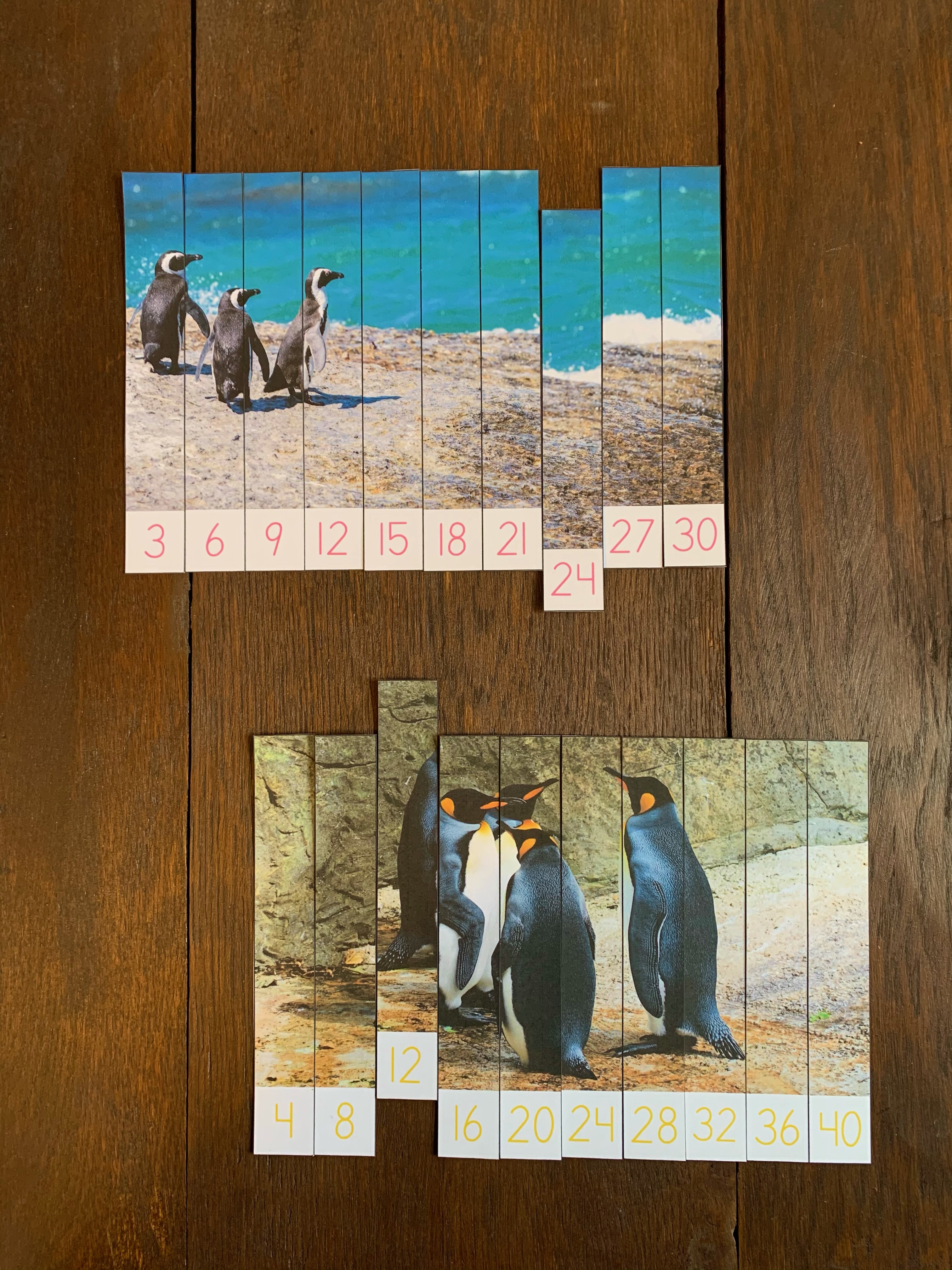 Montessori-Inspired Penguin Skip Counting Puzzles – MOMtessori Life