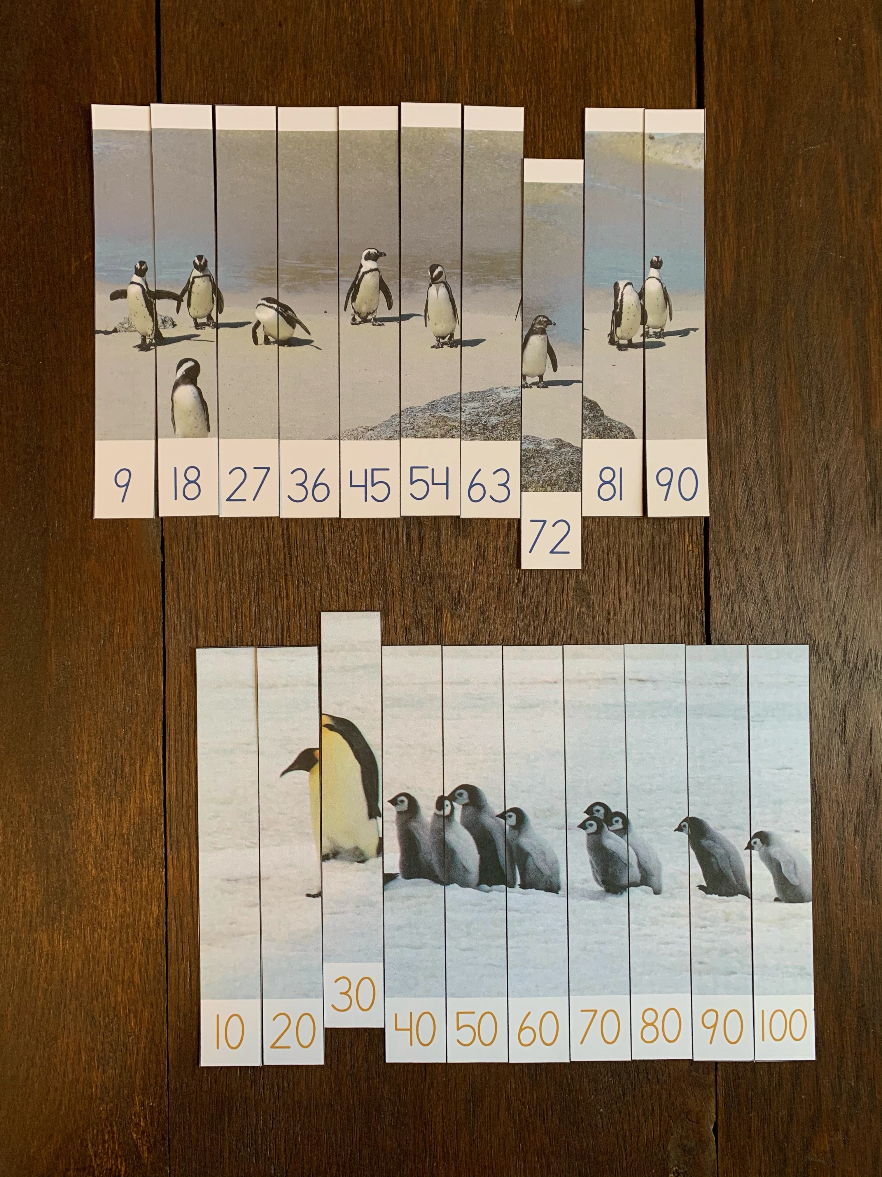 Montessori-Inspired Penguin Skip Counting Puzzles – MOMtessori Life