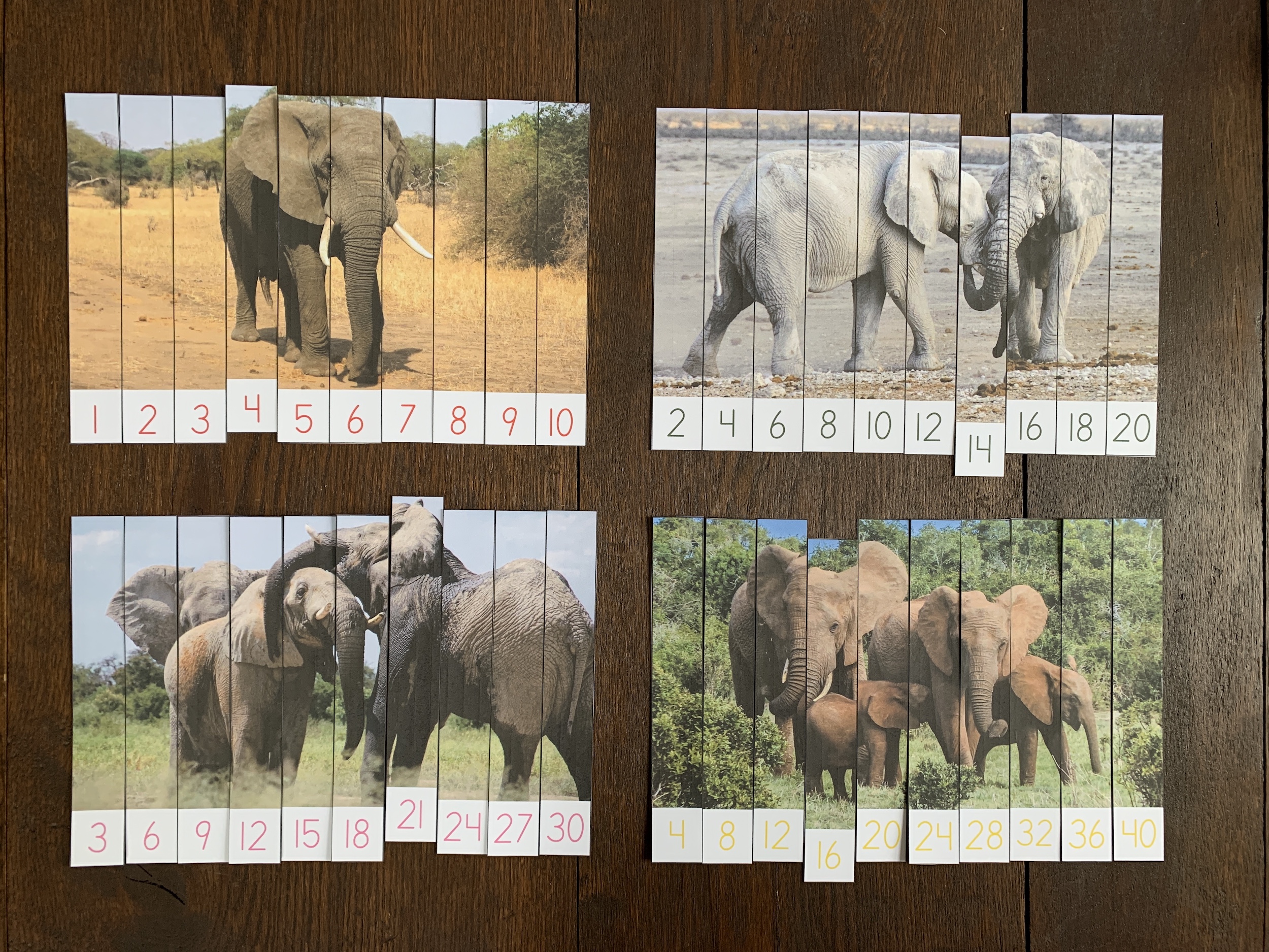 MOMTESSORILIFE-ELEPHANT-SKIP-COUNTING-PUZZLES – MOMtessori Life