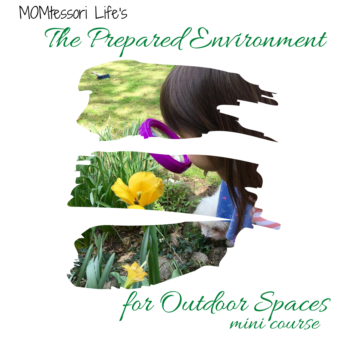 mini course square – MOMtessori Life