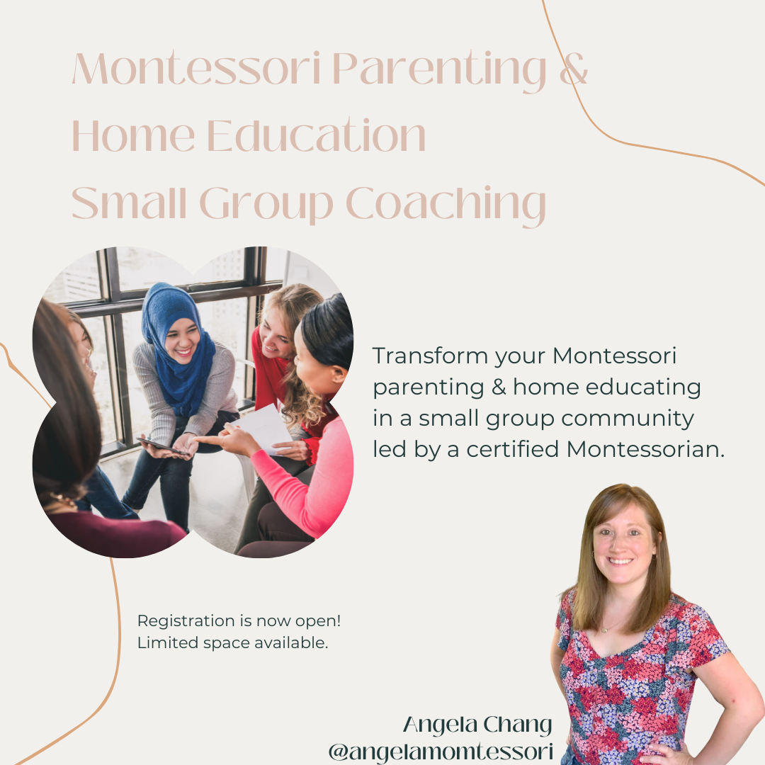 Small-Group-Coaching-1 – MOMtessori Life