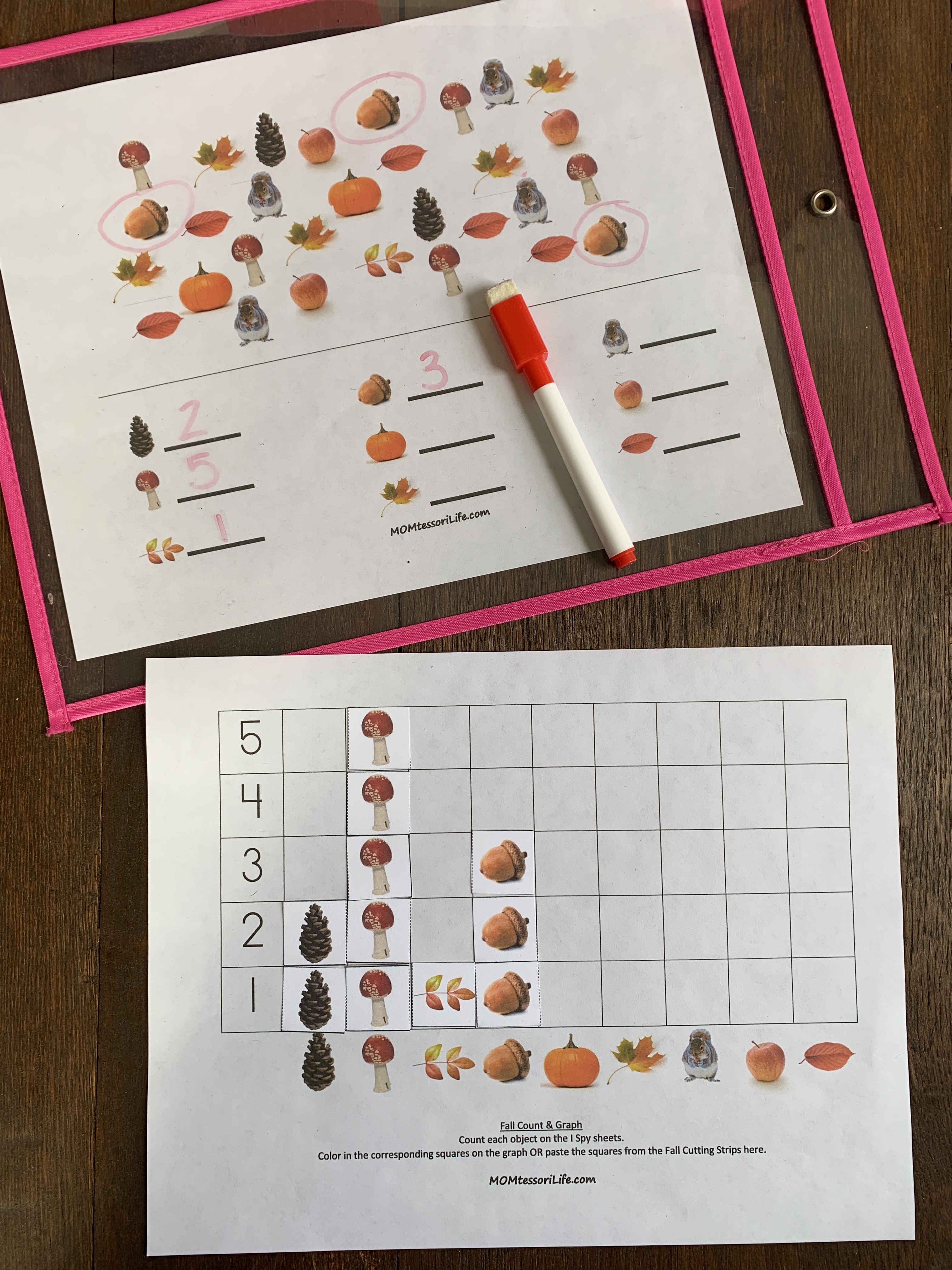 Fall Count & Graph – MOMtessori Life