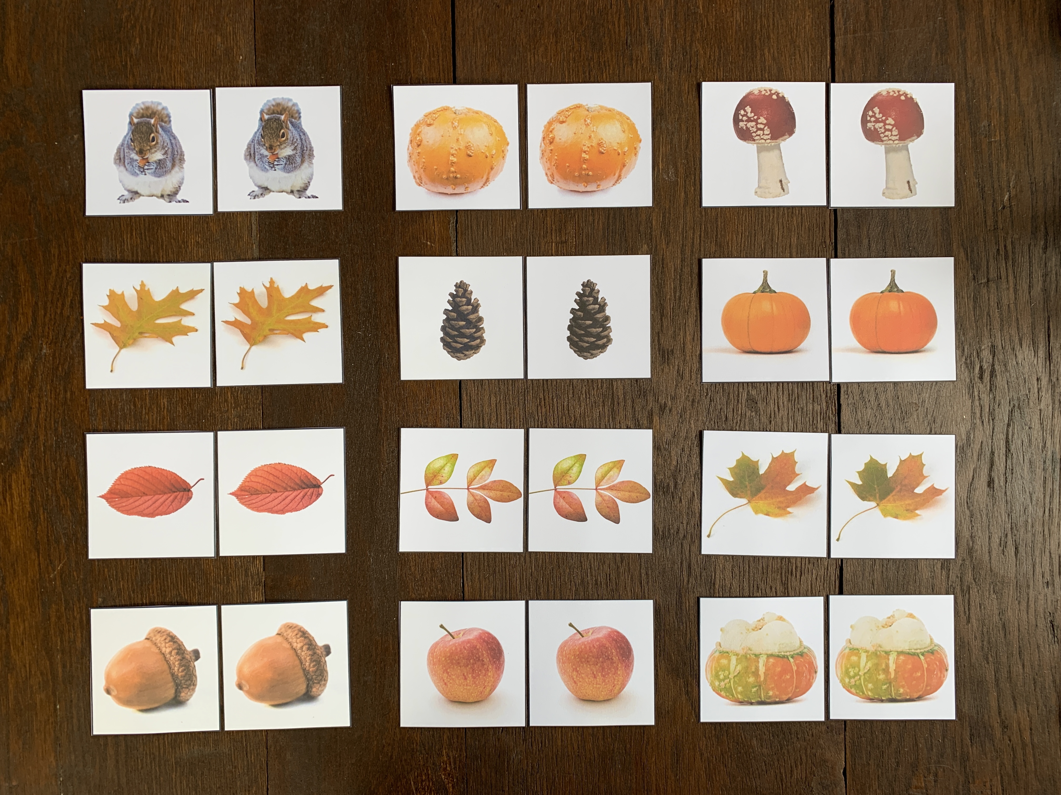 Fall Matching Cards – MOMtessori Life
