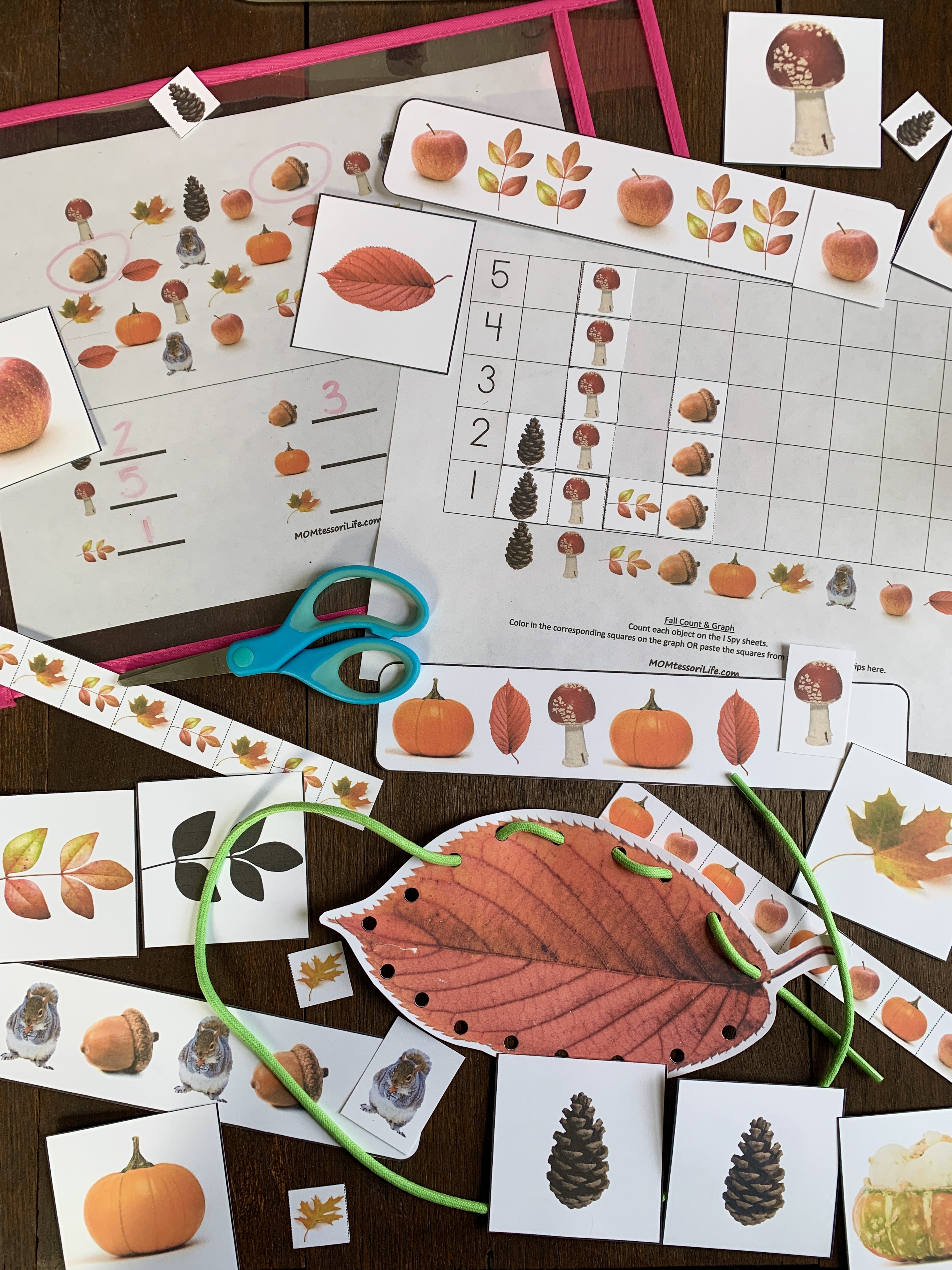 Fall Nature Mini Bundle – MOMtessori Life