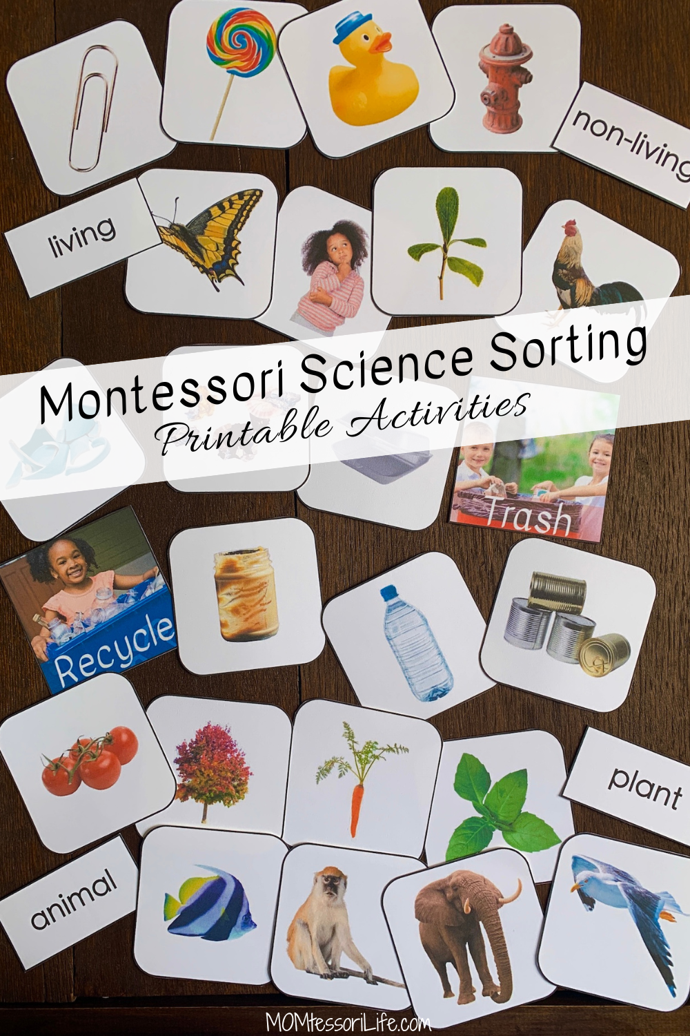 Montessori Science Sorting Printable Activities – MOMtessori Life