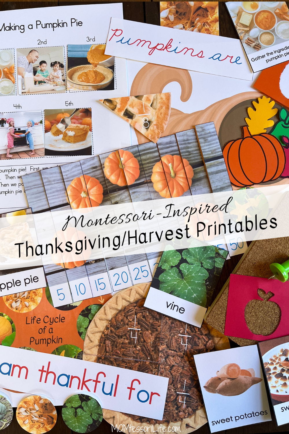 Montessori-Inspired Thanksgiving:Harvest Printables – MOMtessori Life