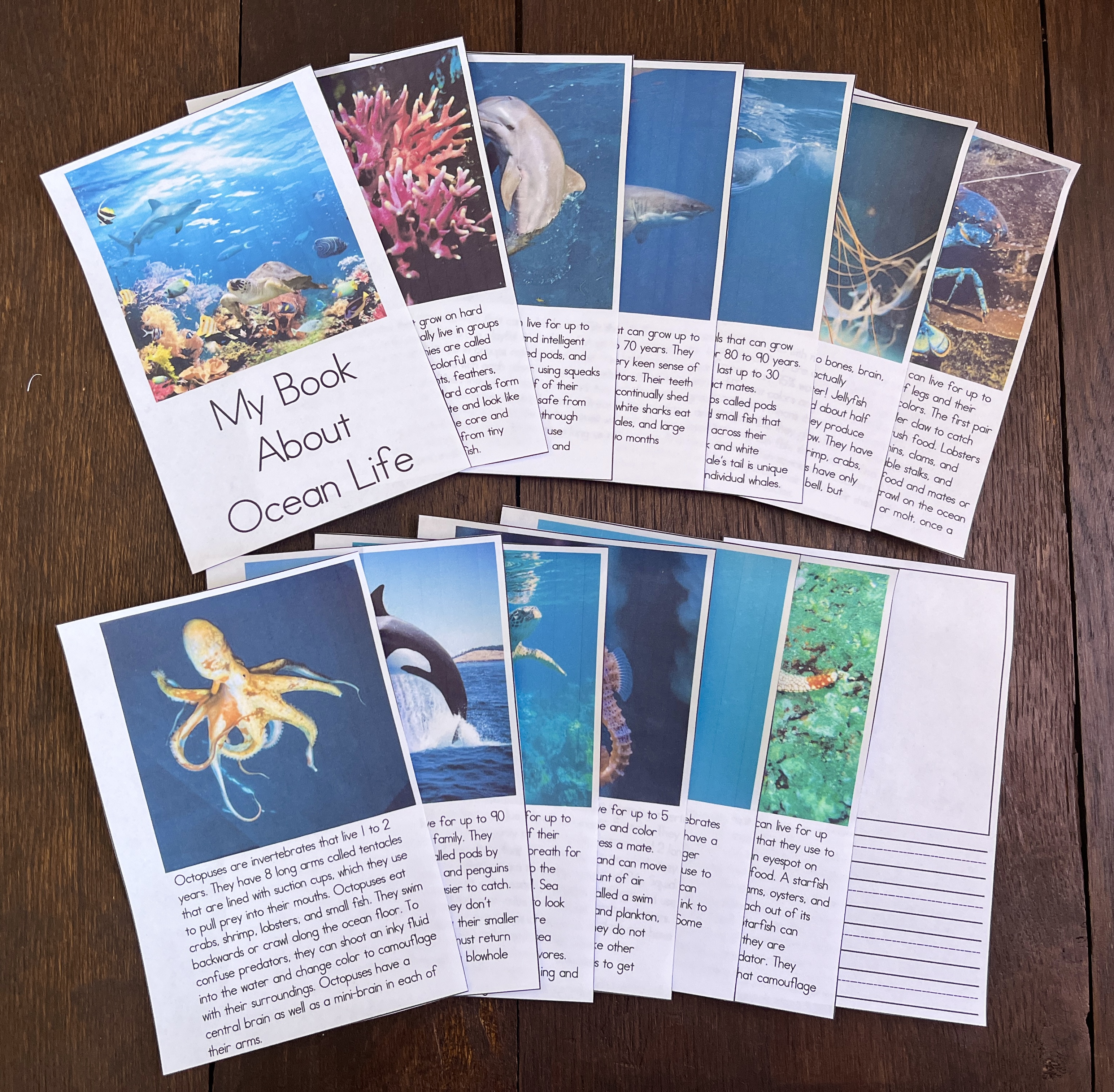 my book about ocean life – MOMtessori Life