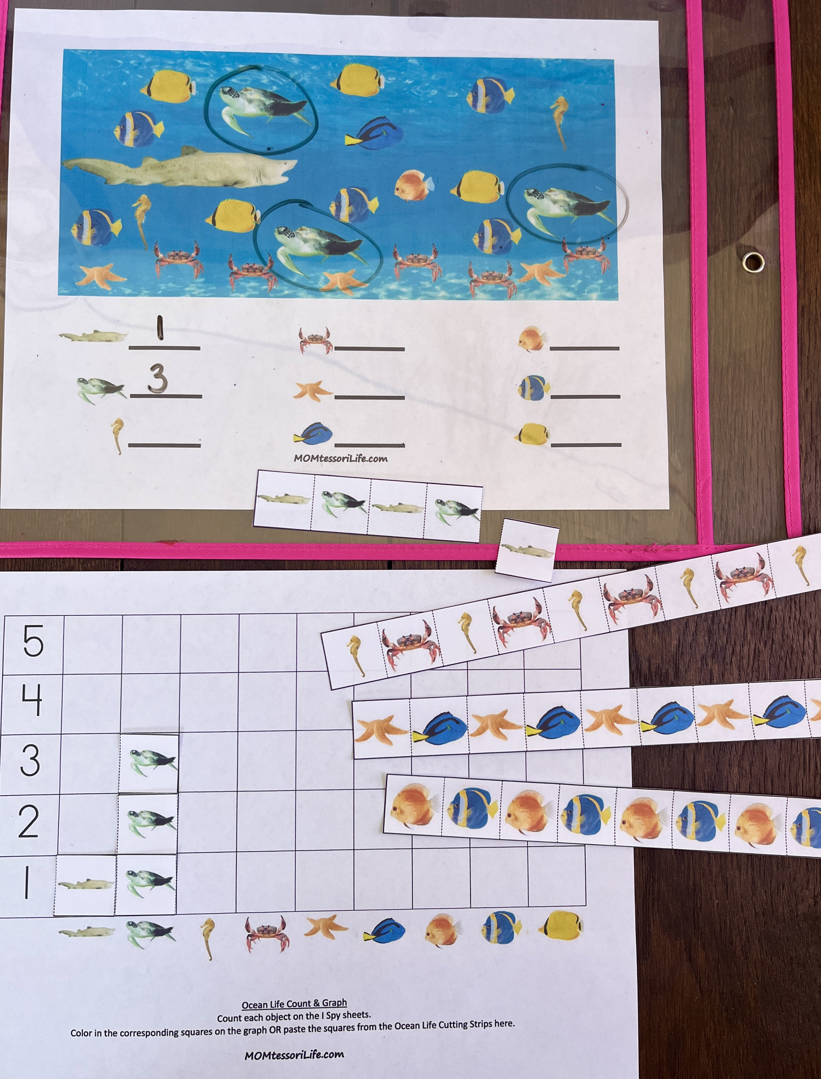 ocean life i spy & count & graph – MOMtessori Life