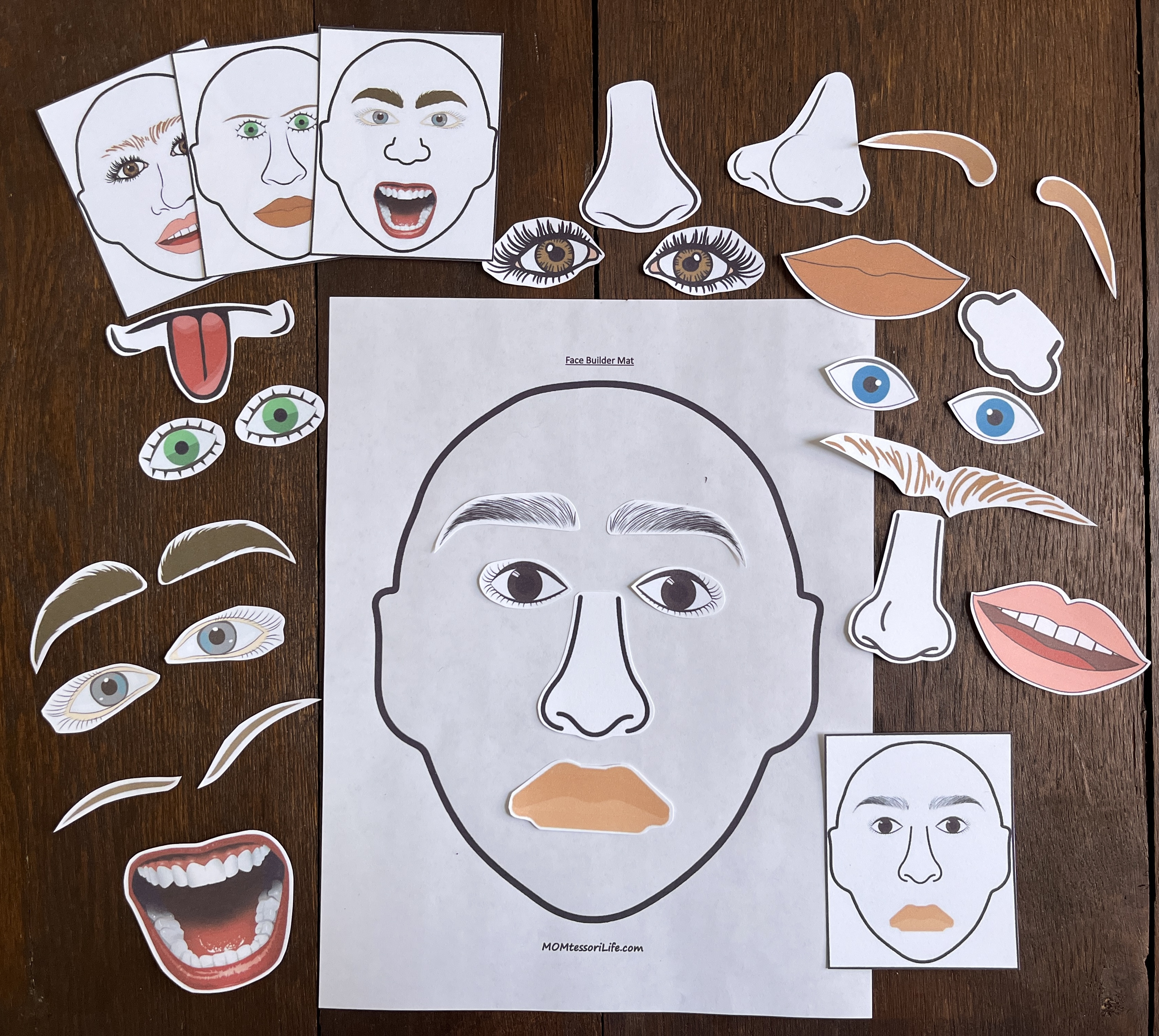 face mapping – MOMtessori Life