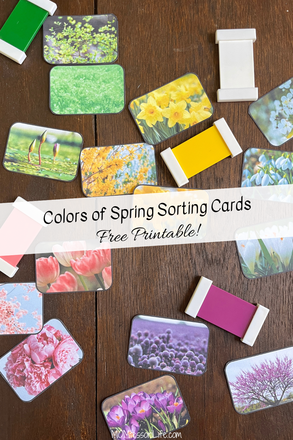 Colors of Spring Sorting Cards – MOMtessori Life