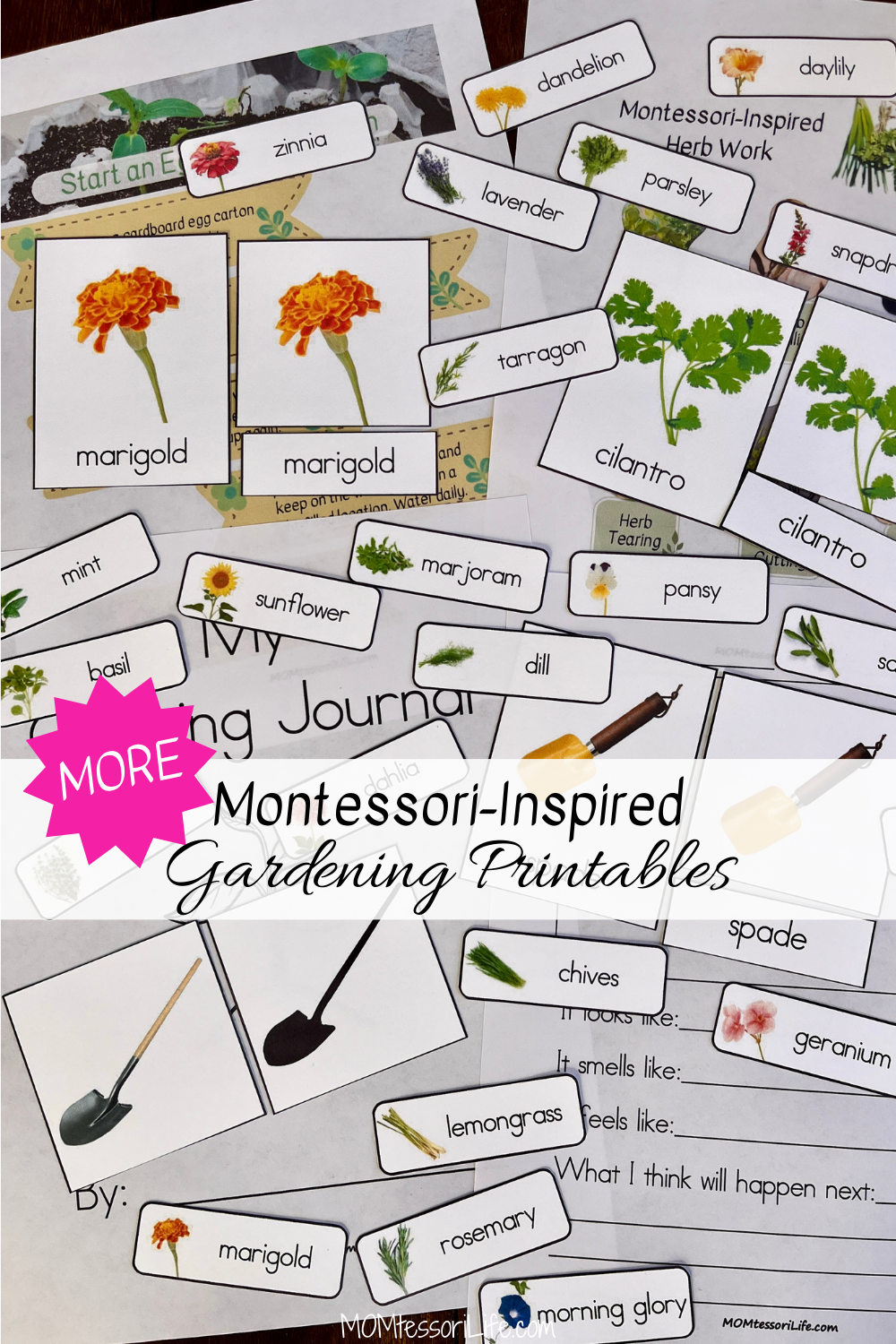 More Montessori-Inspired Gardening Printables – MOMtessori Life