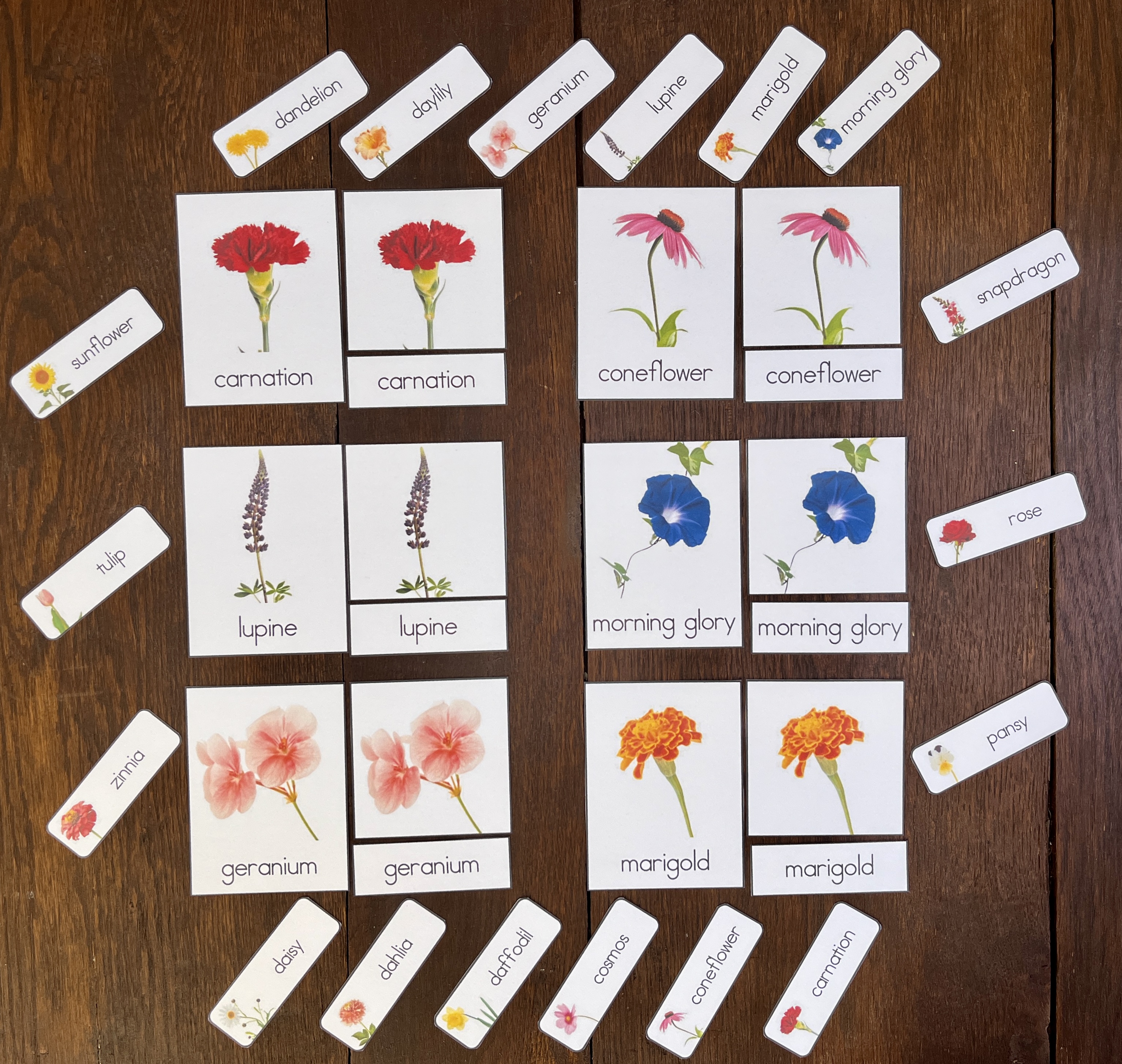 types of flowers – MOMtessori Life