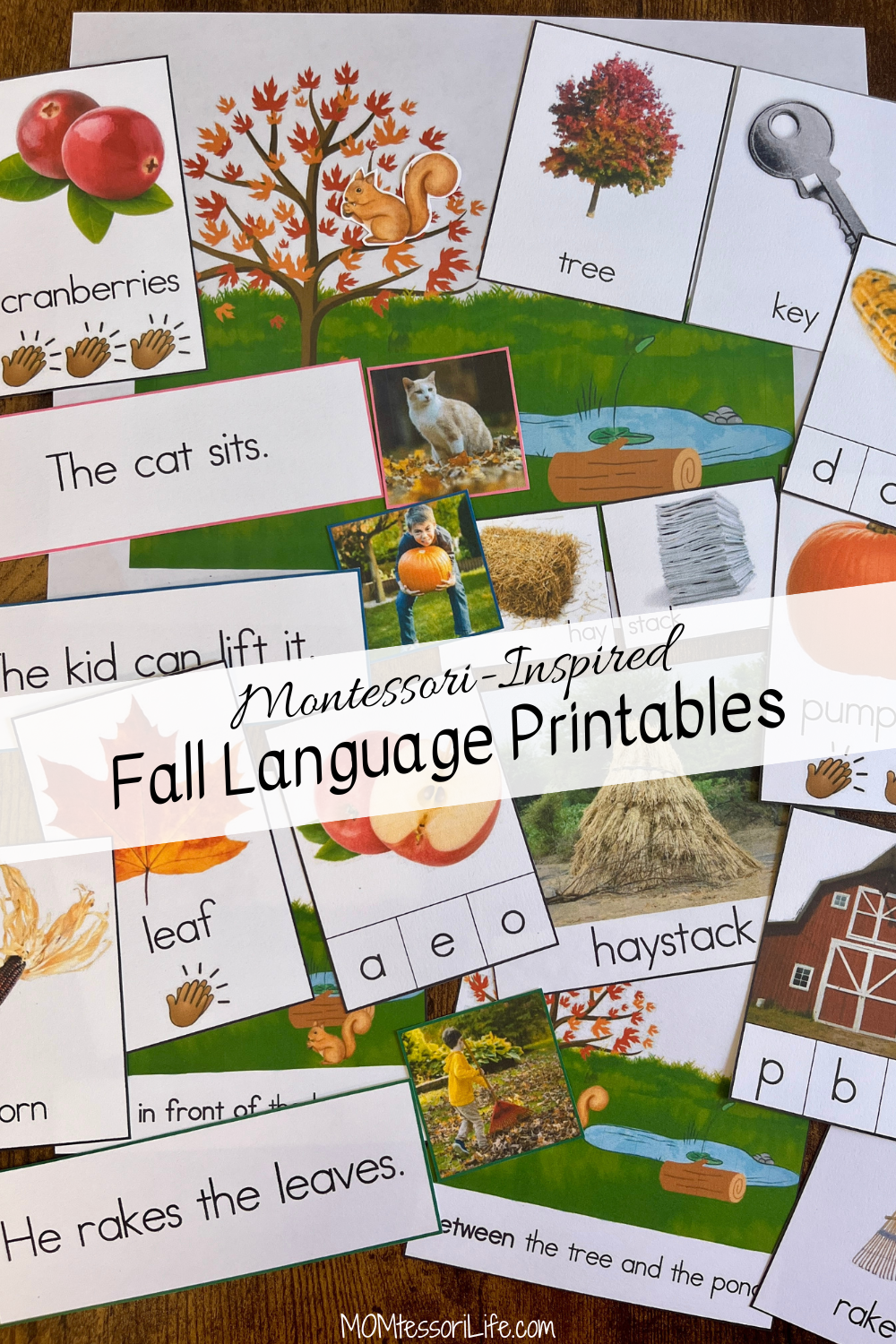 Montessori-Inspired Fall Language Printables – MOMtessori Life