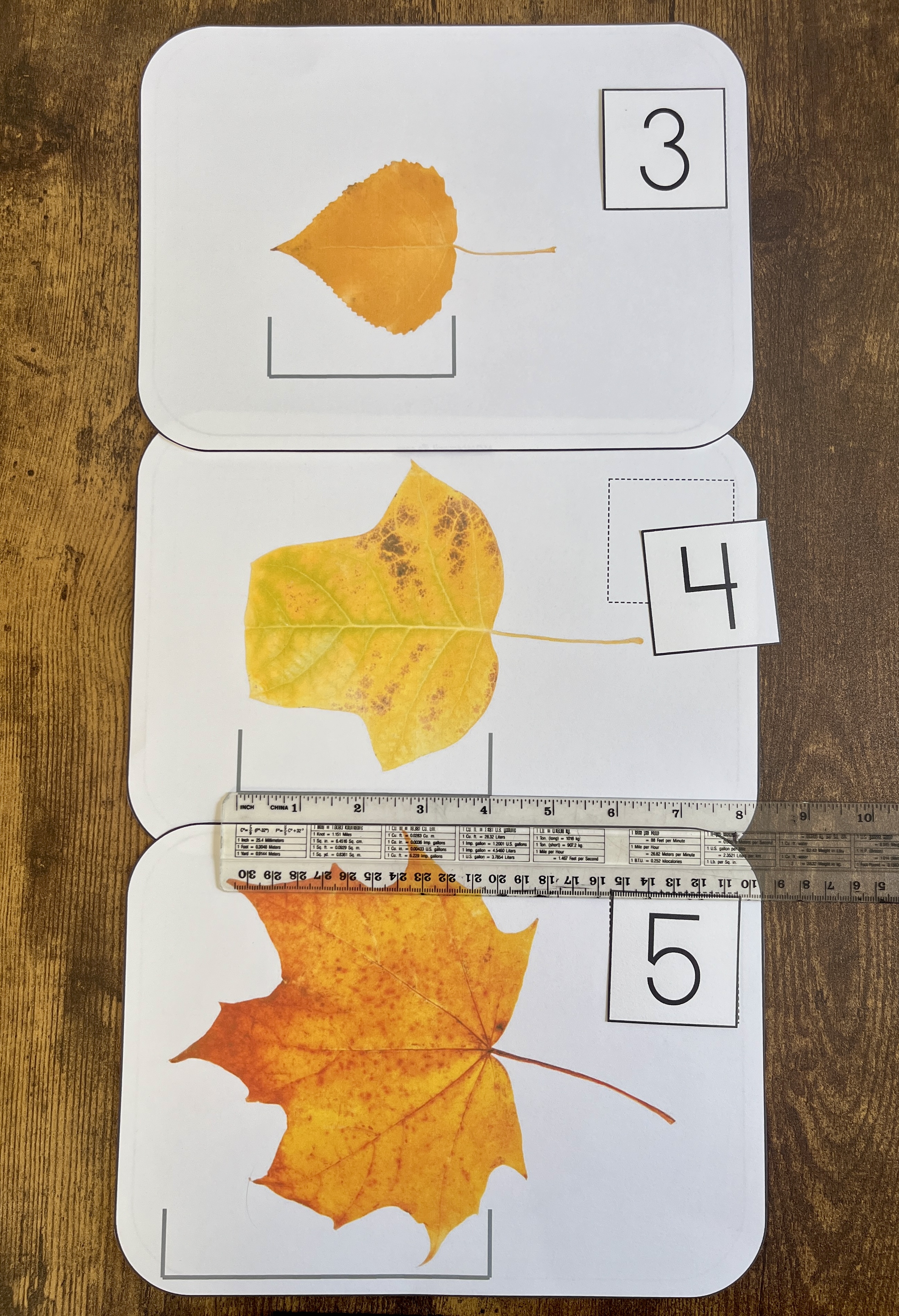 fall leaf measuring cards – MOMtessori Life