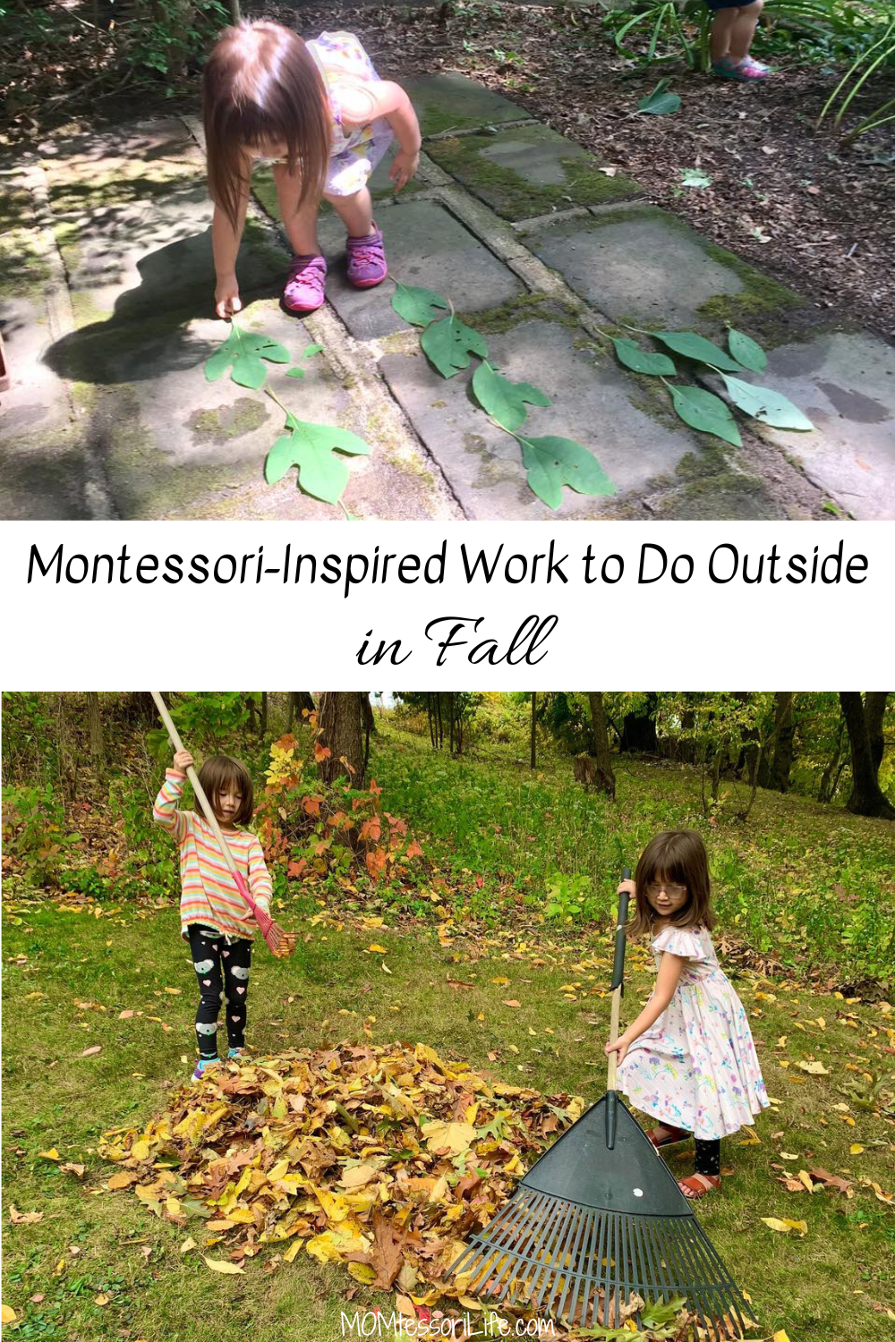 Montessori-Inspired Work to do Outside in Fall – MOMtessori Life