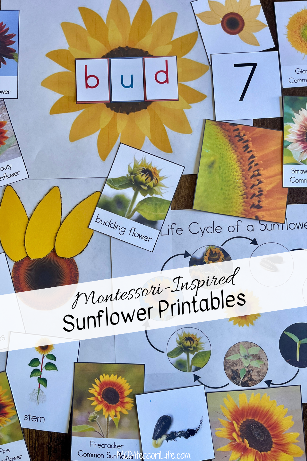 Montessori-Inspired Sunflower Printables – MOMtessori Life